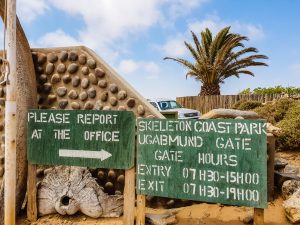 Destination Guide: Camping in Torra Bay (Namibia) – Jozi Food Whore
